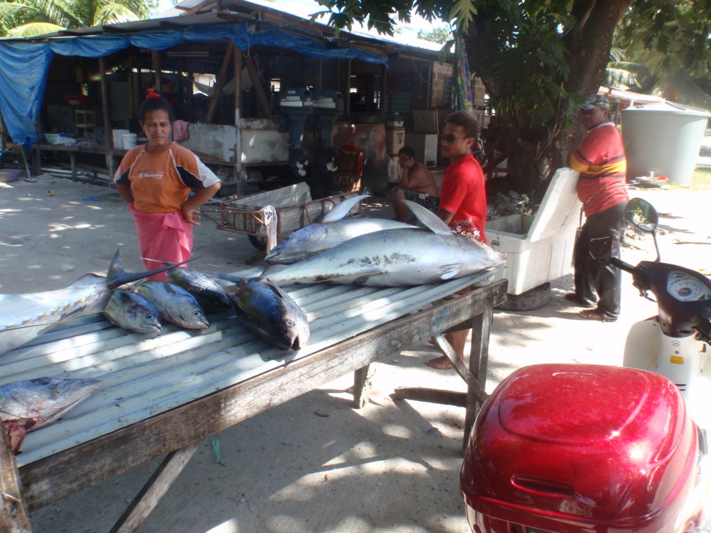 OLYMPUS DIGITAL CAMERA | Tuvalu Fisheries